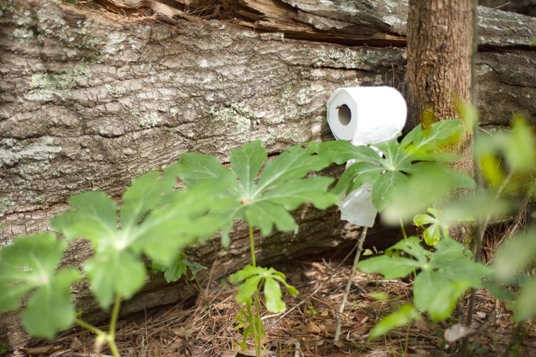 Toilet paper doesn't grow on trees, but free-range alternatives exist ...