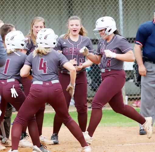 Johnson's homer lifts Lady 'Dogs past Douglass, 5-2 | Sports ...