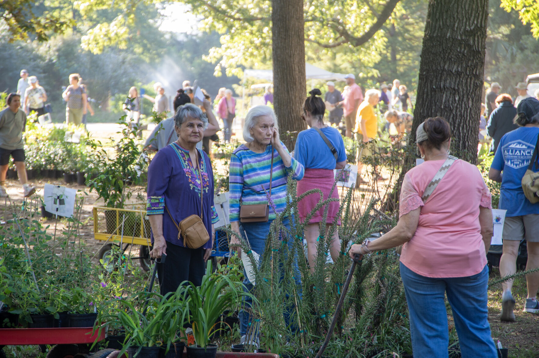 SFA Gardens to celebrate 40th anniversary | Social Media ...