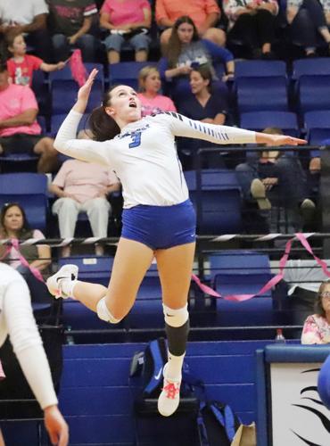 Cooks leads plethora of Lady Devil postseason honors | Sports ...