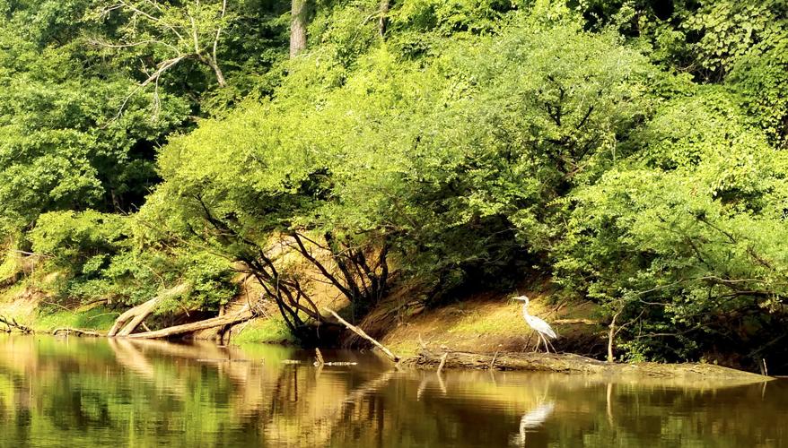 14 miles of muddy Angelina River brings peaceful battle with nature ...