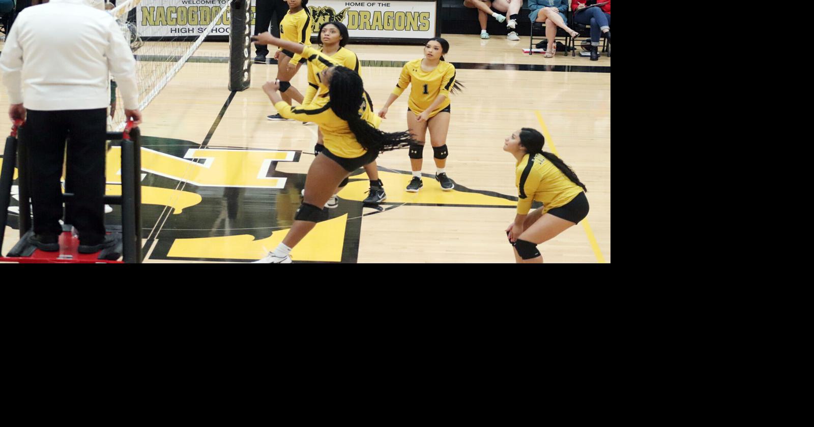 Lady Dragons fall to Huntsville in four sets | Sports | dailysentinel.com
