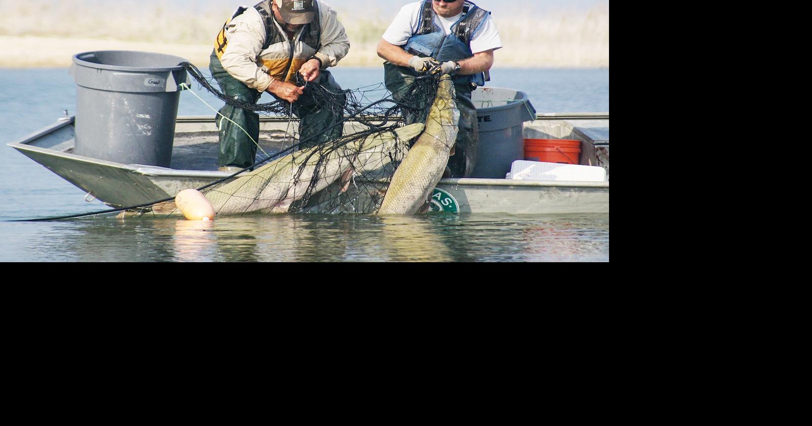 Outdoors Briefs: TPWD launches new website geared for alligator gar ...
