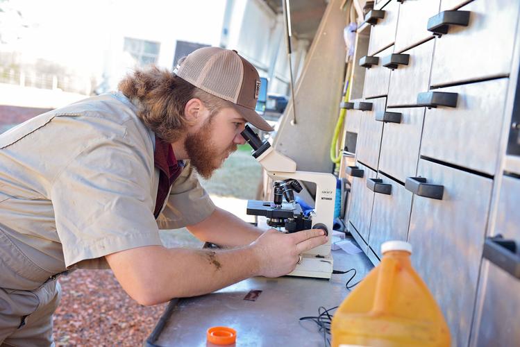Alazan native lands dream job, takes over mobile vet clinic | Social ...