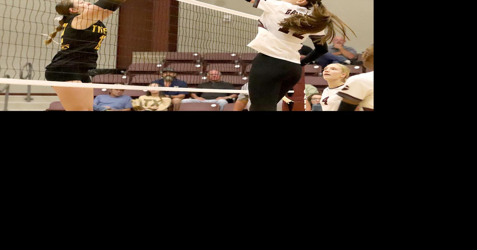 Lady Dogs take over sole possession of first in 20-2A race | Sports ...