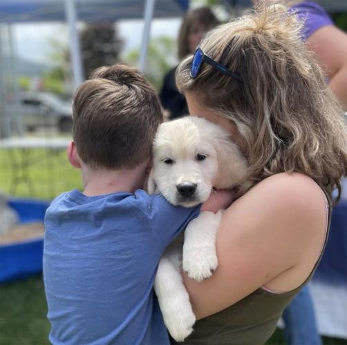 Nonprofit provides service dogs to those in need | Local News ...