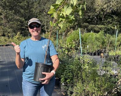 Tree giveaway celebrates Arbor Day | Local News | dailysentinel.com