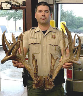 Okla. B&C scorer tapes record class whitetail killed by vehicle ...