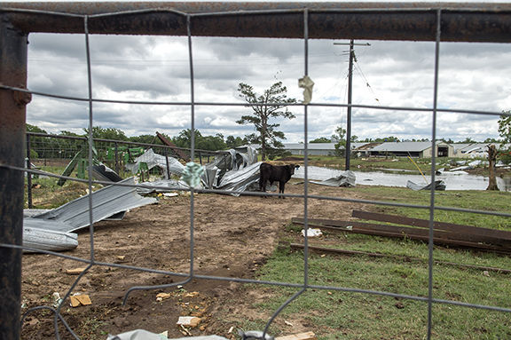 Storm damage in Garrison, Texas, on Friday, May 12, 2017. | Photo ...