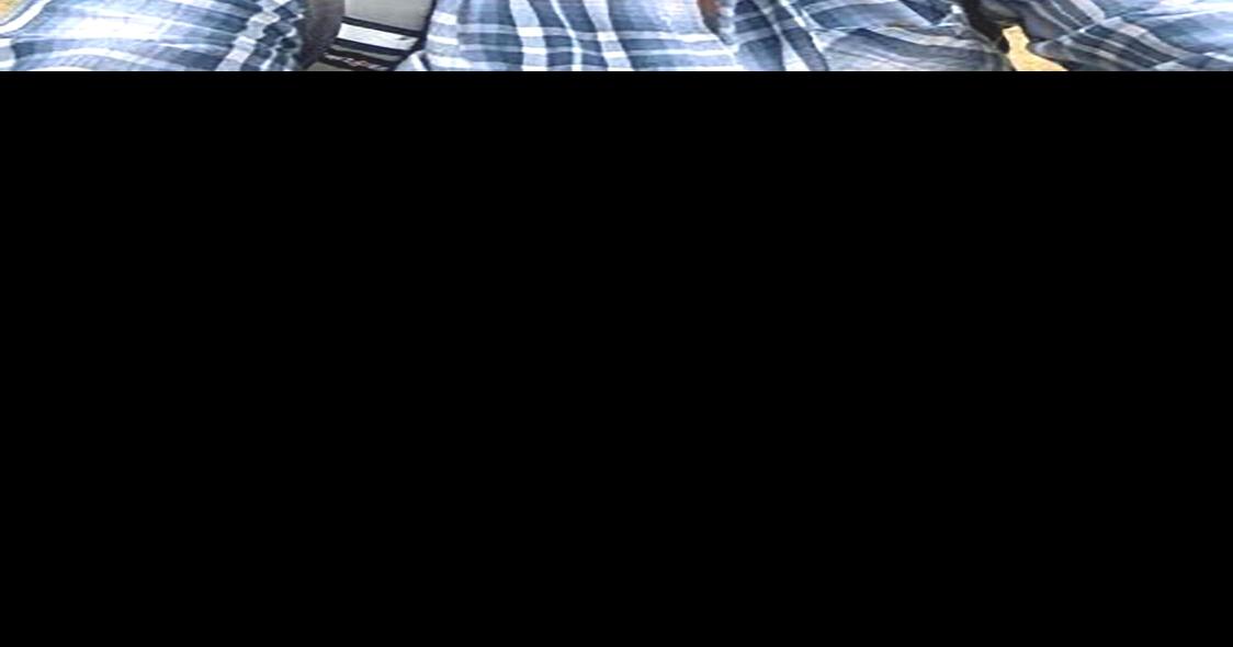 Dawn Stover to speak at garden lecture series | Local News ...