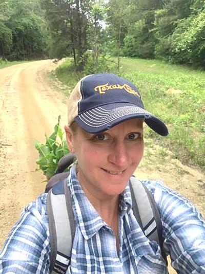 Dawn Stover to speak at garden lecture series | Local News ...