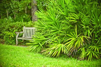 The tropical look | Life & Entertainment | dailysentinel.com