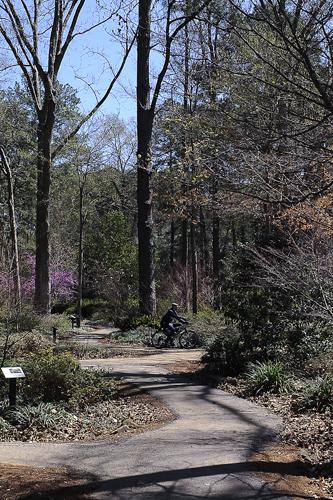 Star attractions of spring showcase off to a slow start | Local News ...