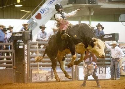 Rodeo, Do Dat among spring Expo events | Local News | dailysentinel.com