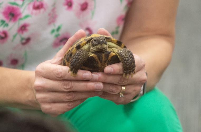 Remarkable Creatures | Photo Gallery | dailysentinel.com
