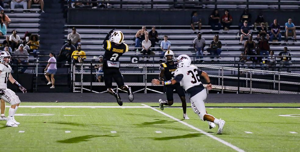 Dragons erase deficit, fall short to Panthers | | dailysentinel.com