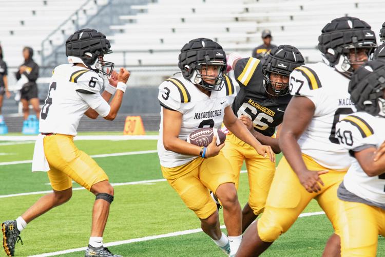 Dragons bump up spring game, House pleased with effort | Sports ...