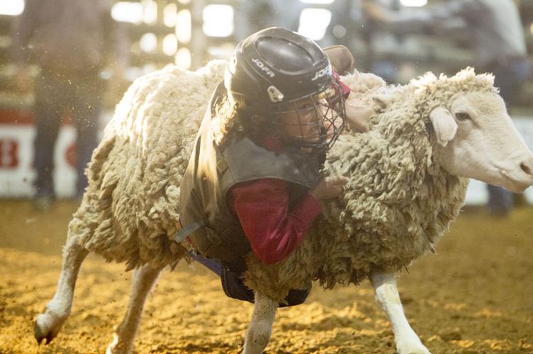 Opening night at the Nacogdoches Pro Rodeo and Steer Show, Thursday ...