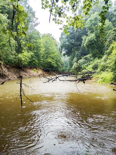 14 miles of muddy Angelina River brings peaceful battle with nature ...