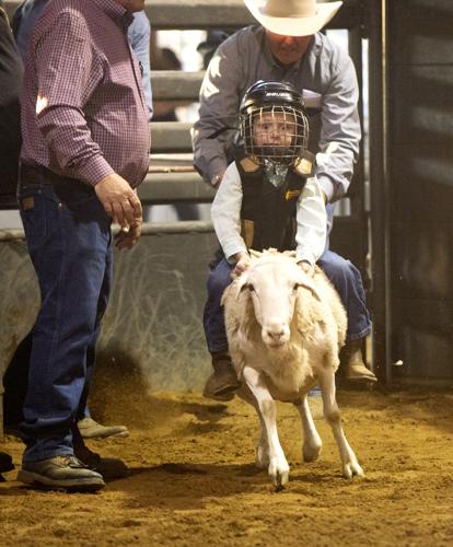 Opening night at the Nacogdoches Pro Rodeo and Steer Show, Thursday ...