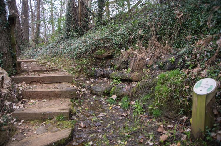 City wants to further develop Eyes of Father Margil site | Social Media ...