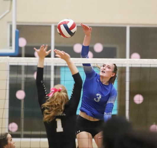 Cook, Bradford earn all-state recognition for Lady Devil volleyball ...