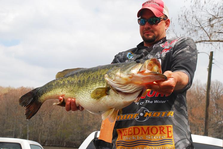 Caught and recaught: Tagging efforts help identify big bass that keep ...