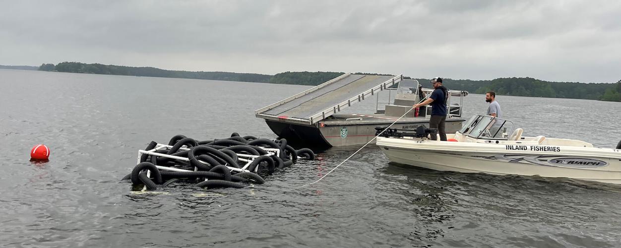 Fish Hotels | Sports | dailysentinel.com