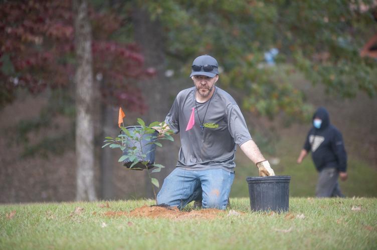 Tree-planting, Friends of the Forest Trail opening mark Arbor Day ...