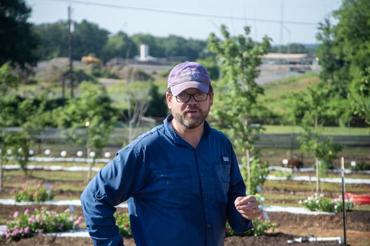 SFA Gardens, plant trial search for resiliency after year of extreme weather | Local News ...