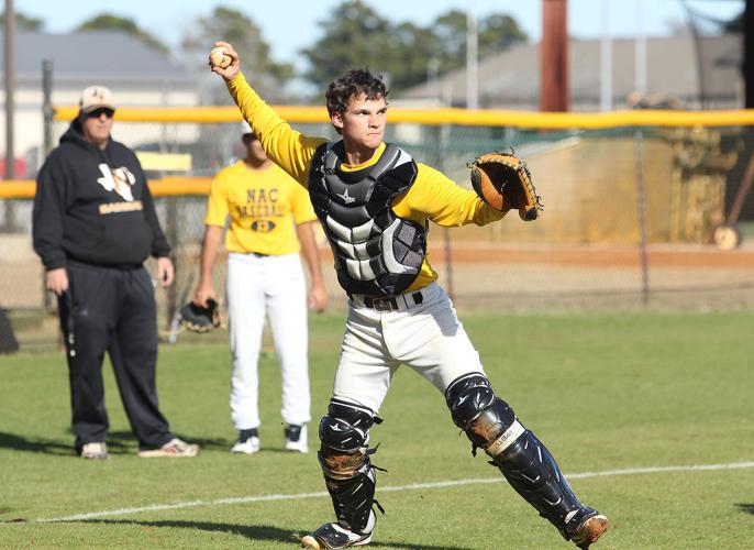 Dragons looking to surge upward in 2018 | Sports | dailysentinel.com