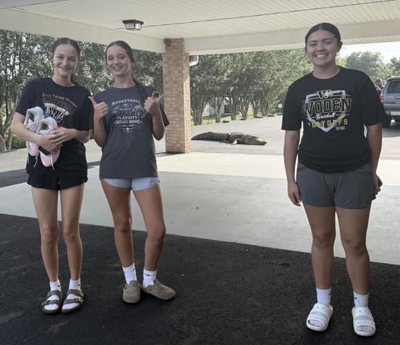 Nacogdoches County alligator relocated after crashing basketball ...