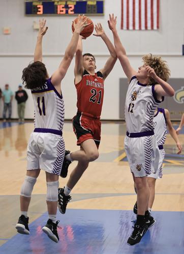 Area Basketball: Martinsville wins bi-district title | Sports ...