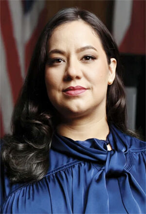 Attorney general candidate promise probe of price gouging after 2021 ...