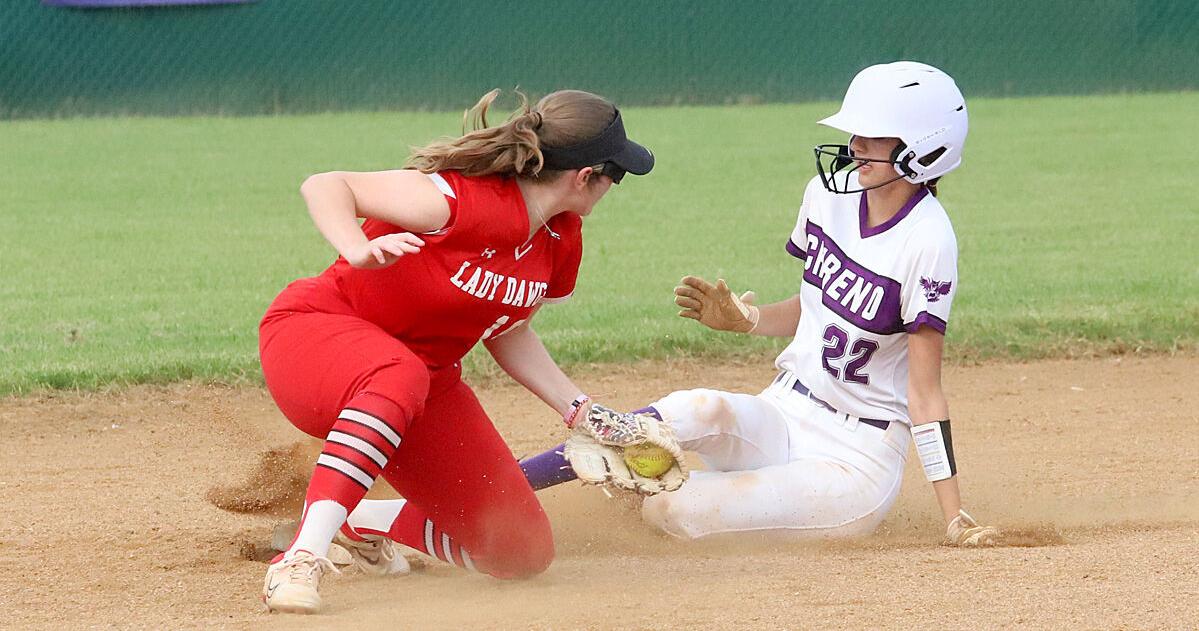 Colmesneil keeps Lady Owls out of playoffs, 6-1 | Sports ...