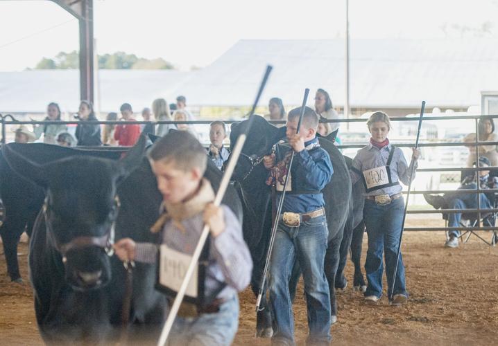 Nacogdoches Pro Rodeo and Steer Show, March 21, 2019 | Photo Gallery ...