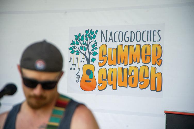 Summer Squash | Photo Gallery | dailysentinel.com