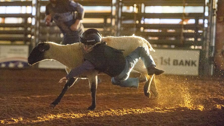 Nacogdoches Pro Rodeo and Steer Show, March 21, 2019 | Photo Gallery ...