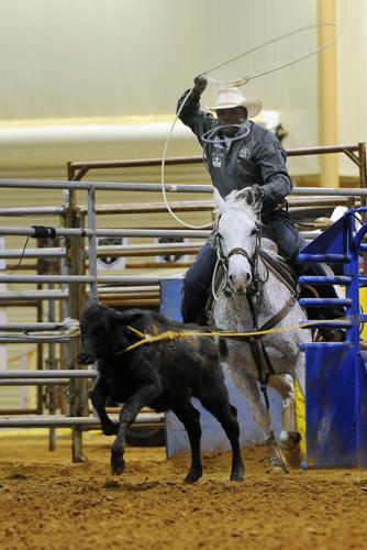 Rodeo Roundup: World Champion disappointed at Rodeo | Local News ...