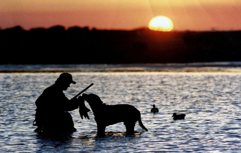 Texas bass pro reels in $202,500 in Toyota Championship | Sports ...