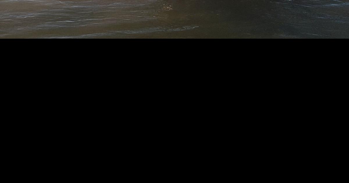 America’s First Bird: Angler reflects on saving bald eagle | Sports ...