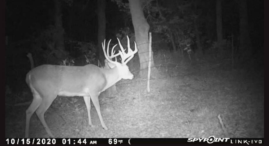 Living the lore of Grayson County: Archer connects with lifetime buck ...