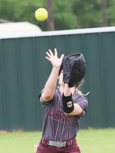 Johnson's homer lifts Lady 'Dogs past Douglass, 5-2 | Sports ...