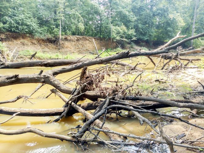 14 miles of muddy Angelina River brings peaceful battle with nature ...