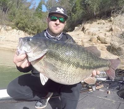 IGFA world record spotted bass under the genetic microscope | Sports ...