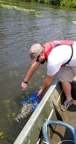 May 22 deadline approaching for comments on CWD, mountain lion ...