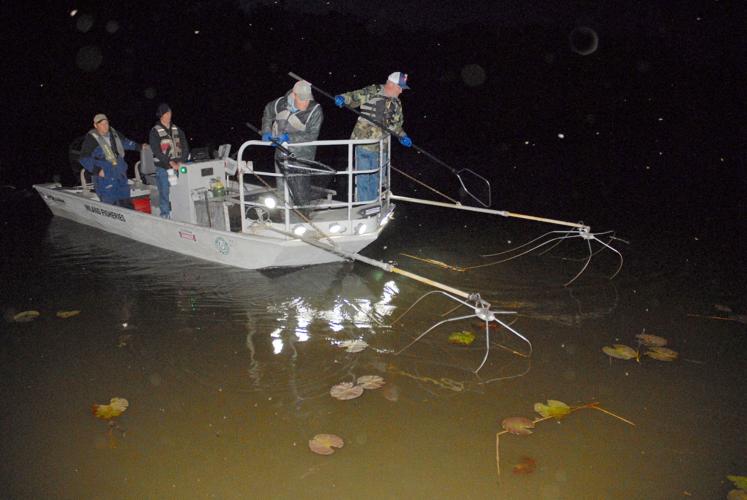 Shocking up results: A look at electrofishing and other survey ...