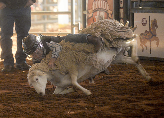 Nacogdoches Pro Rodeo & Steer Show | Photo Gallery | dailysentinel.com