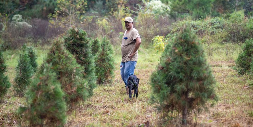 Picking the Perfect Tree: ETX Tree Farmers Are Keeping It Real | Charm ...