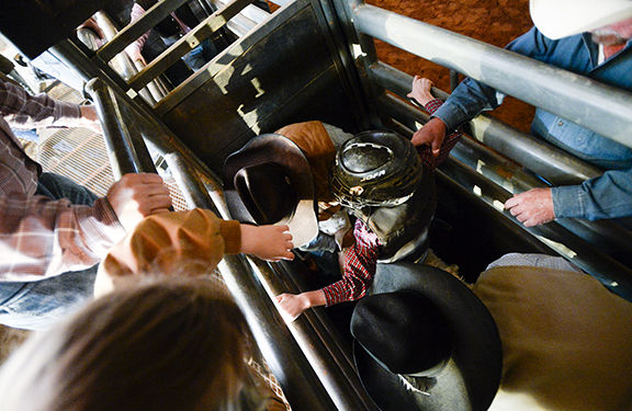 Nacogdoches Pro Rodeo & Steer Show | Photo Gallery | dailysentinel.com